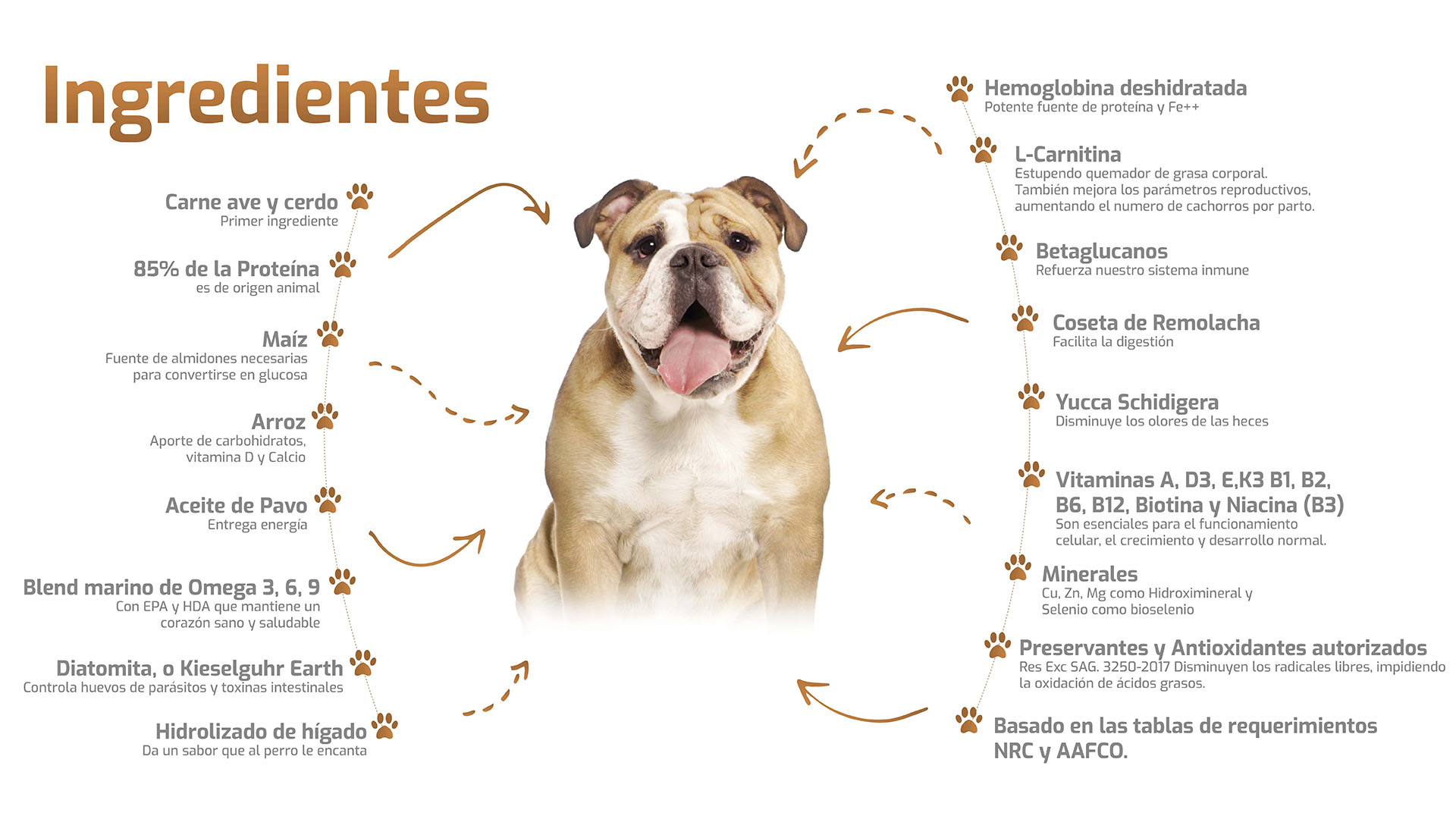 Bokato Tradición - Mi Lulú